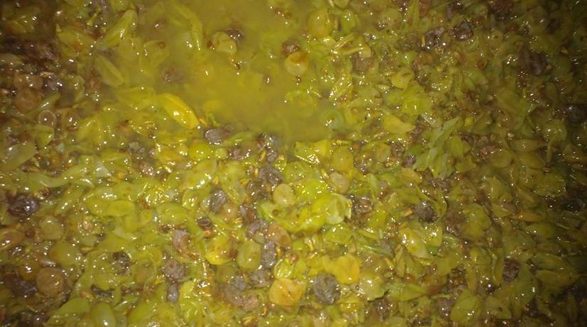 Miért mérjük a nitrogént a mustban? - A YAN mérése